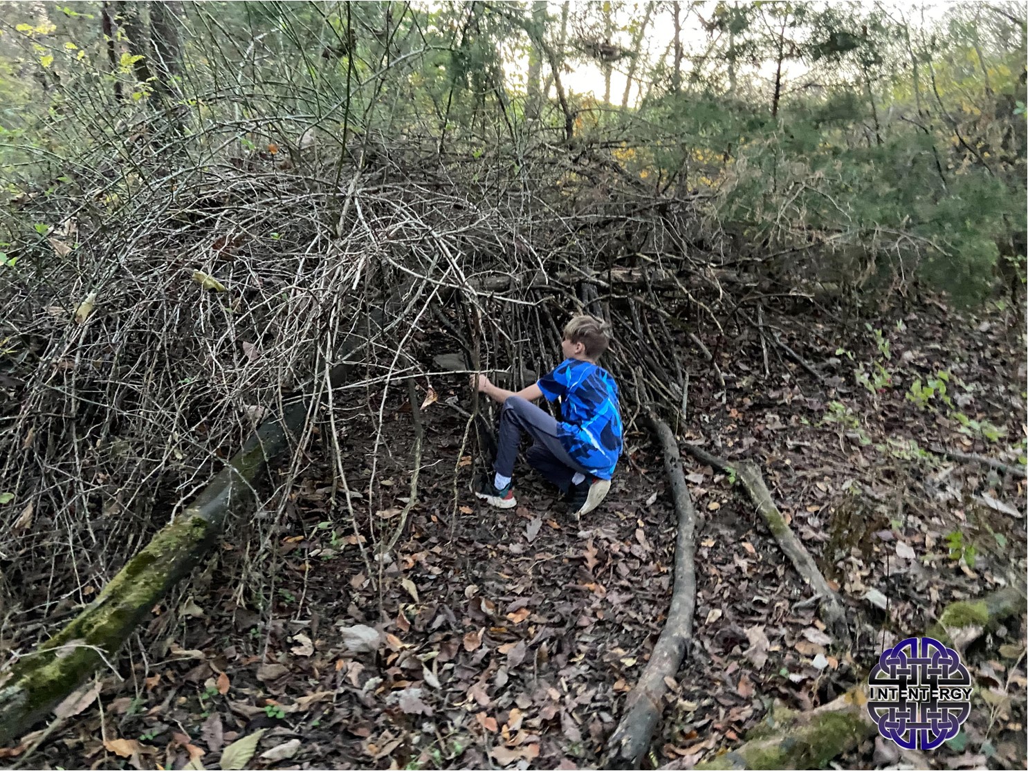 Security in Nature: As Guided by a 9 Year Old | Intentergy