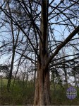 Security in Nature: As Guided by a 9 Year Old | Intentergy