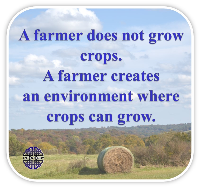 It’s Not What You Grow – Wise Words Wednesday | Intentergy