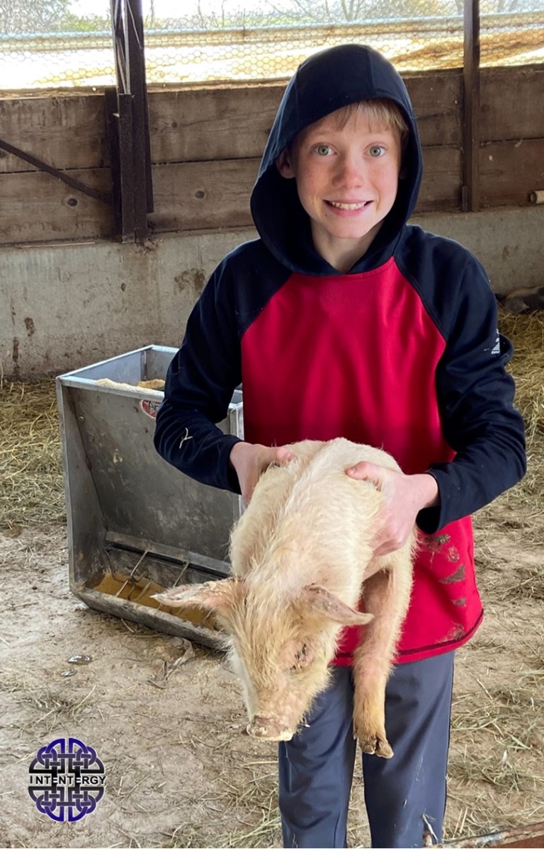 The Name “Wilbur” for a Girl | Intentergy