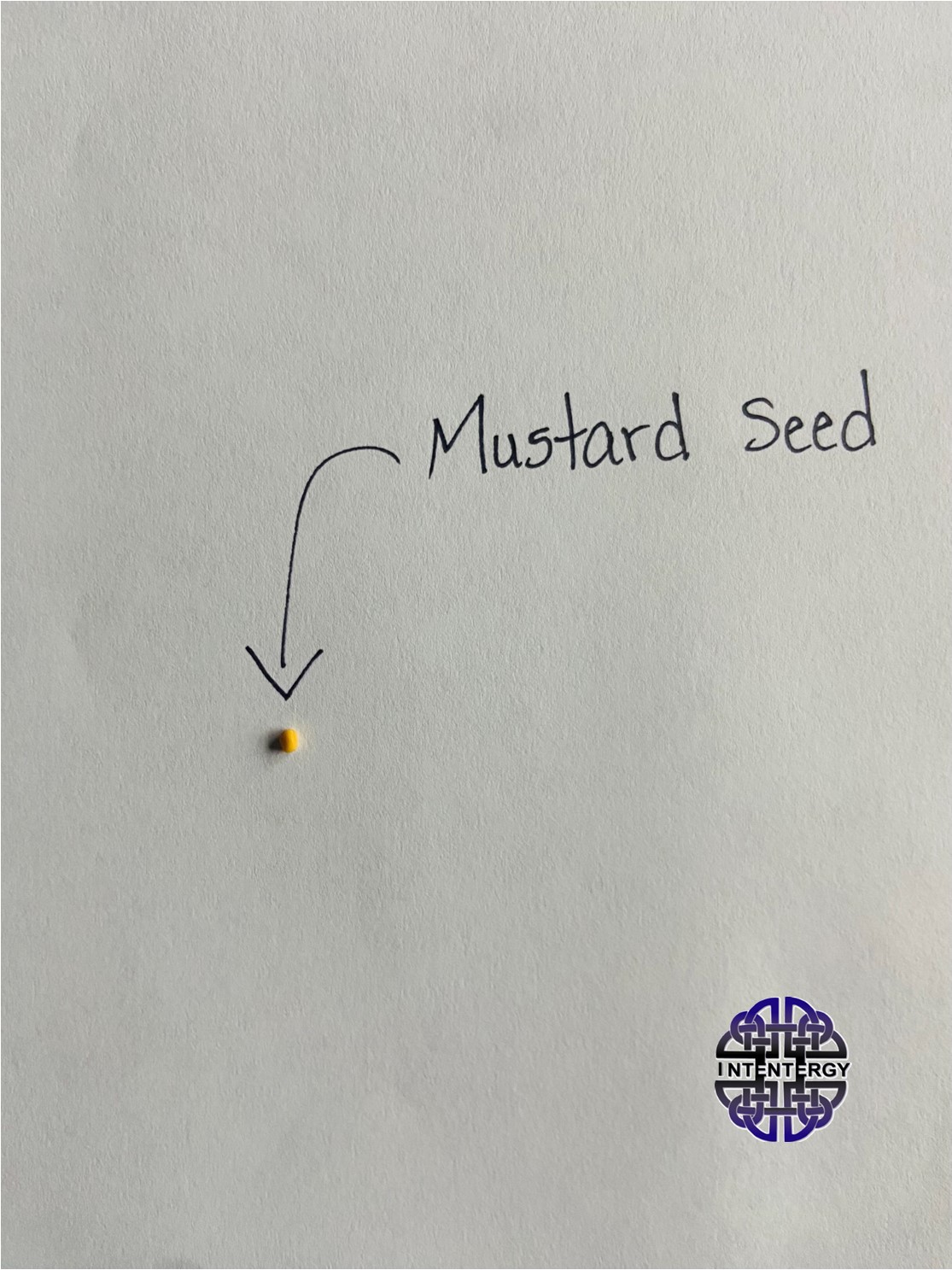Mustard-Seed Moments | Intentergy